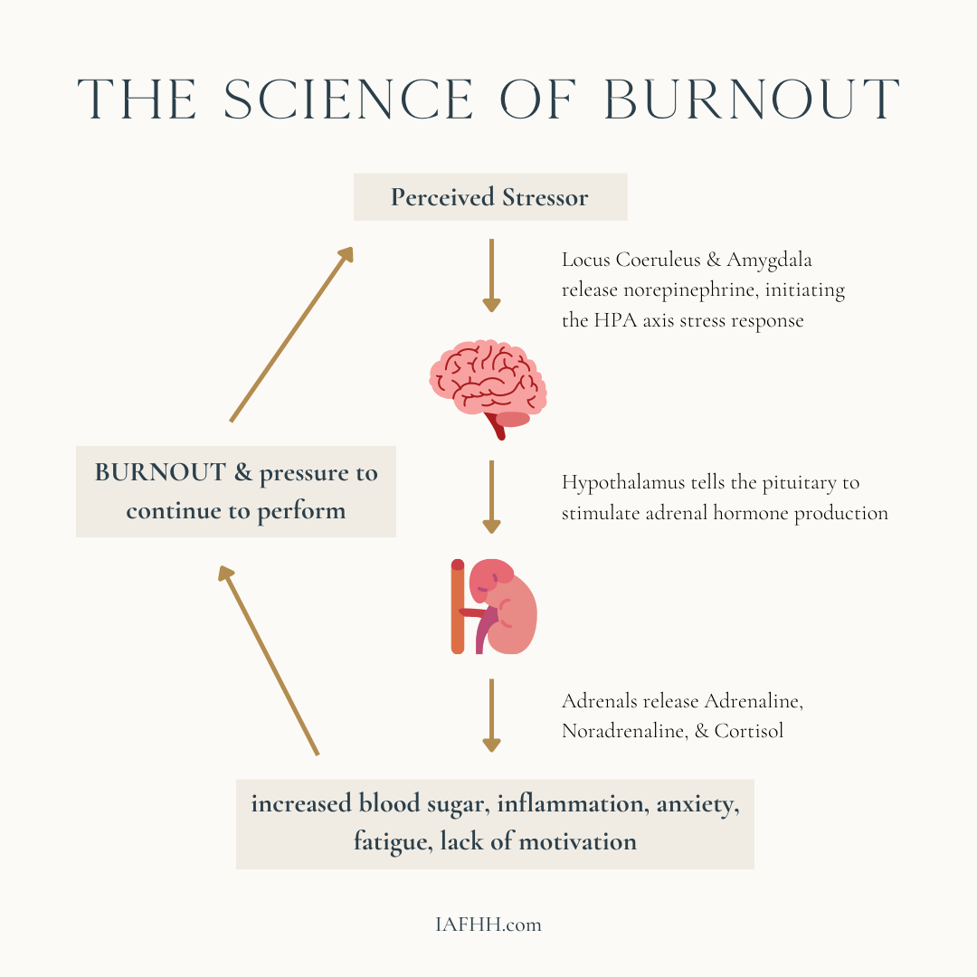 Why Burnout Happens and How to Prevent it - iafhh.com